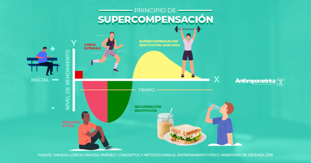 Principio de supercompensación | Anthropométrica